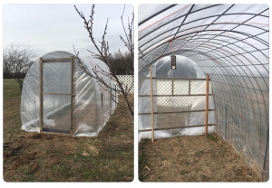 How to Build Caterpillar Tunnels for Just 30 Cents per Square Foot ...